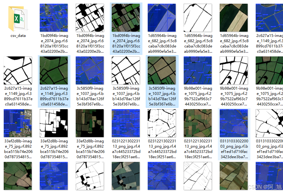 基于yolo11深度学习的遥感视角农田检测与分割系统【python源码pyqt5界面数据集训练代码】